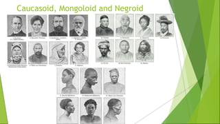 Race and Ethnicity | PPTX