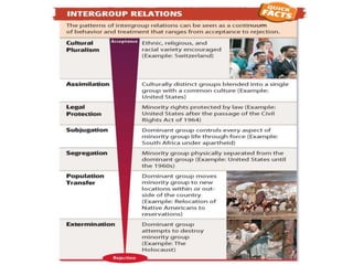 Race Ethnicity Gender | PPT