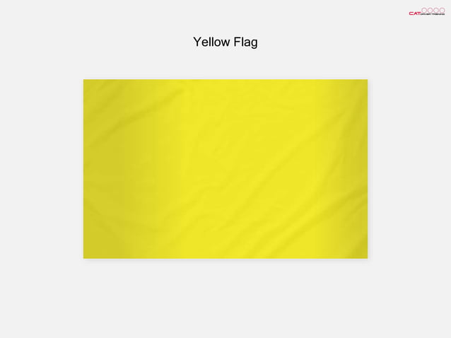 Racing Flag Signals & Meanings | PPTX | Racing Video Games | Video Game ...