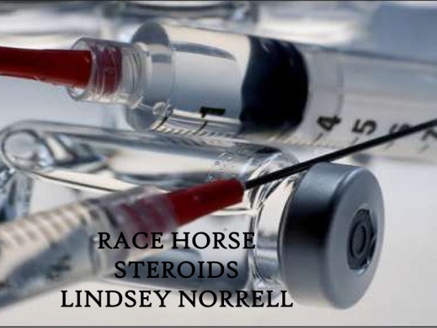 Steroid Horse