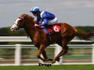 Race horse steroid | PDF