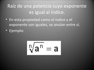 Propiedades de las Raíces | PPT