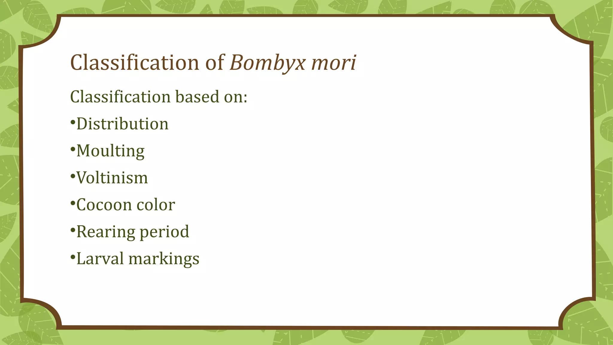 Races of bombyx mori | PPT