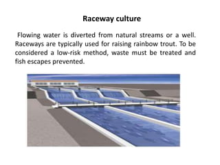 Aquaculture Raceways