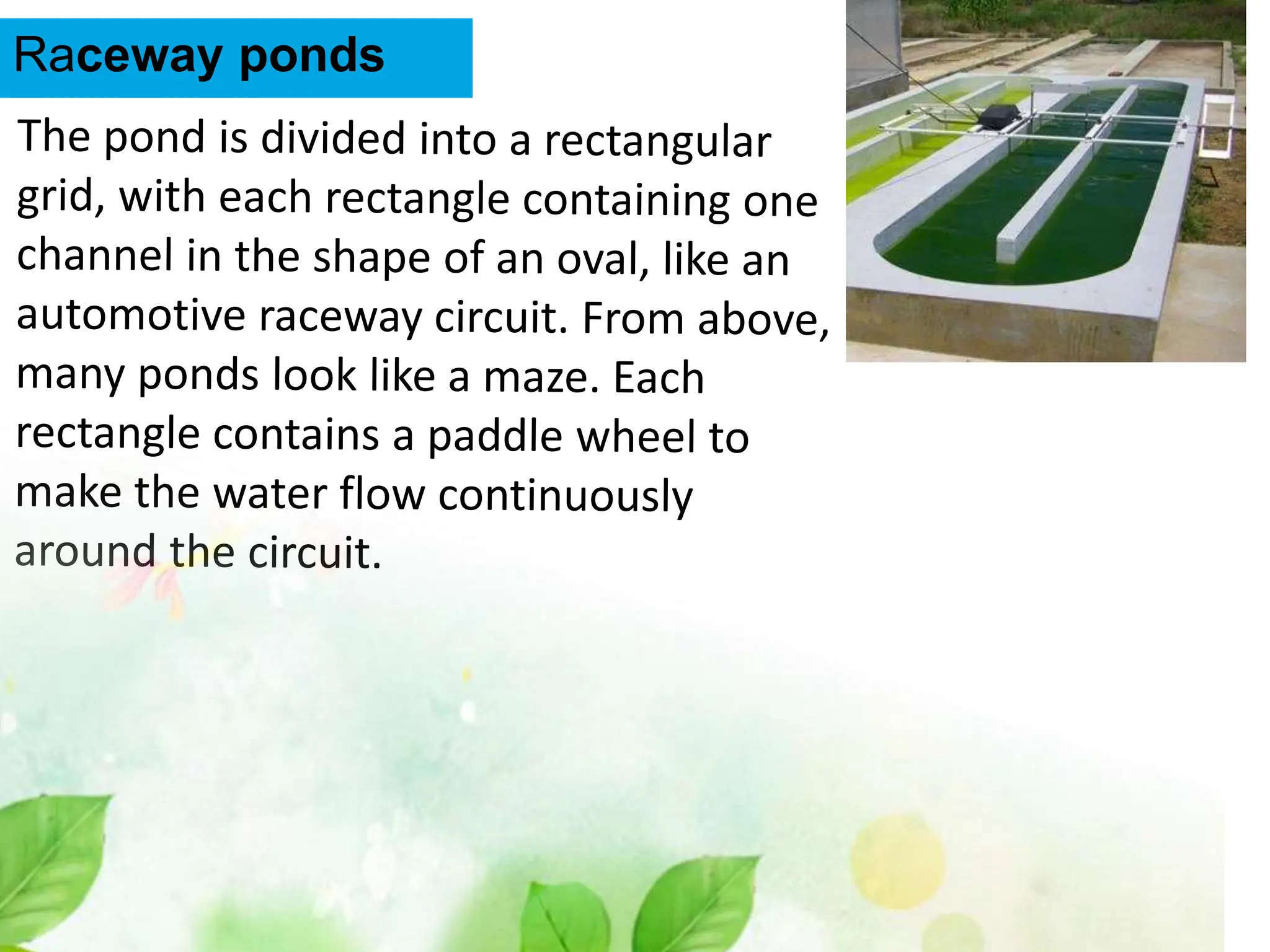 Raceway ponds.pptx