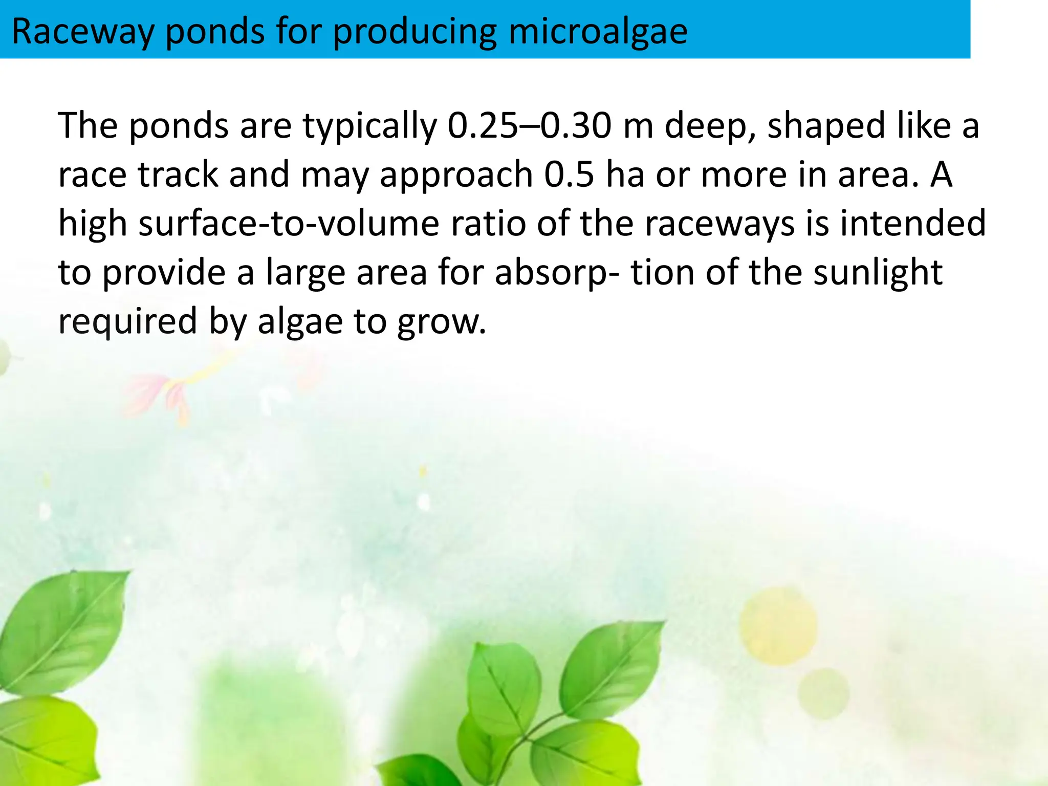 Raceway ponds.pptx