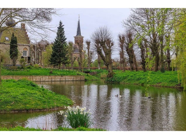 Raceway ponds.pptx | Fish and Aquariums | Pets