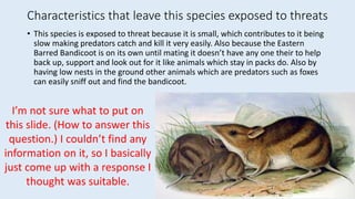 Eastern Barred Bandicoot - student presentation | PPTX