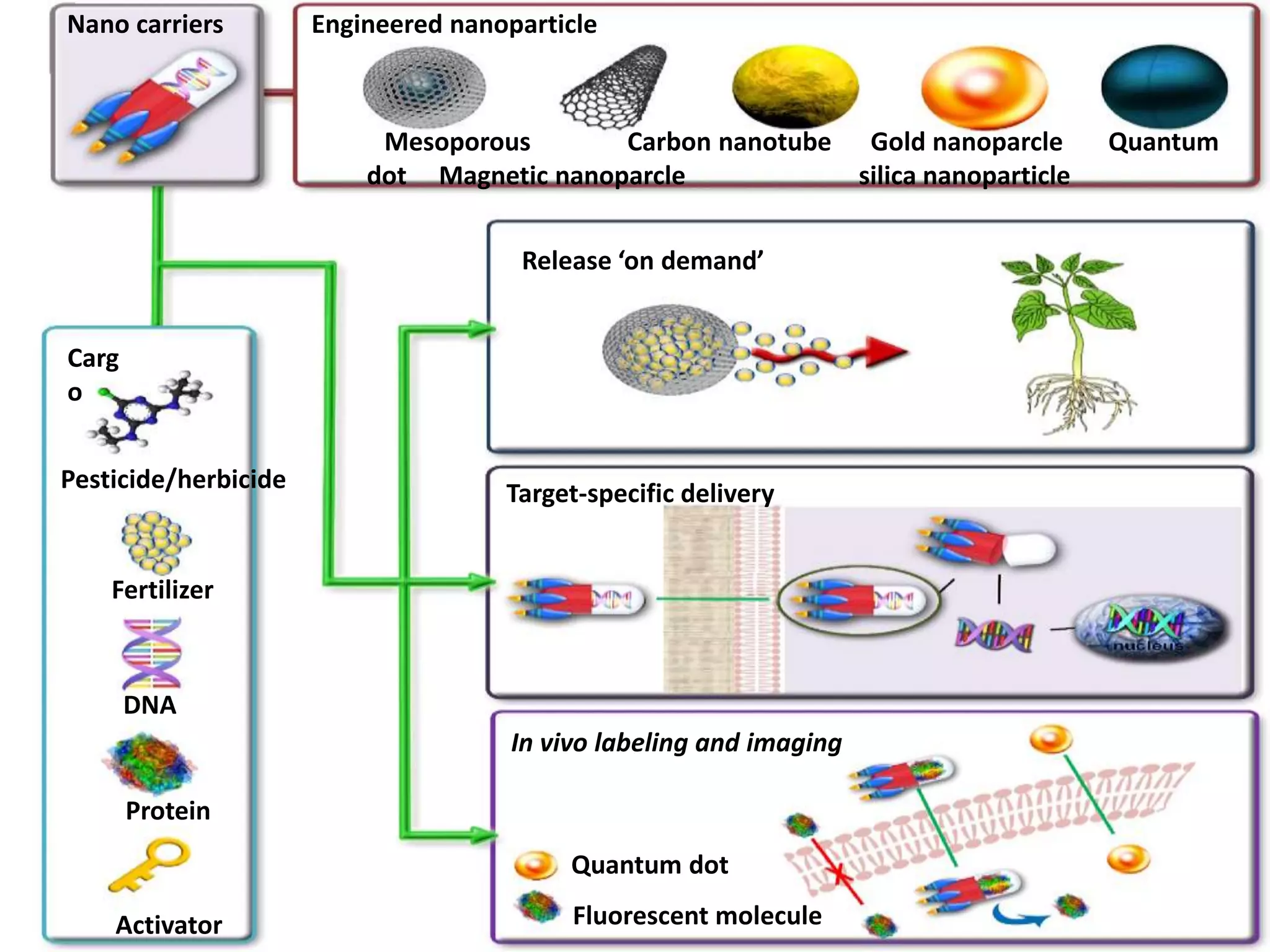 Nanotechnology for crop improvement | PPTX