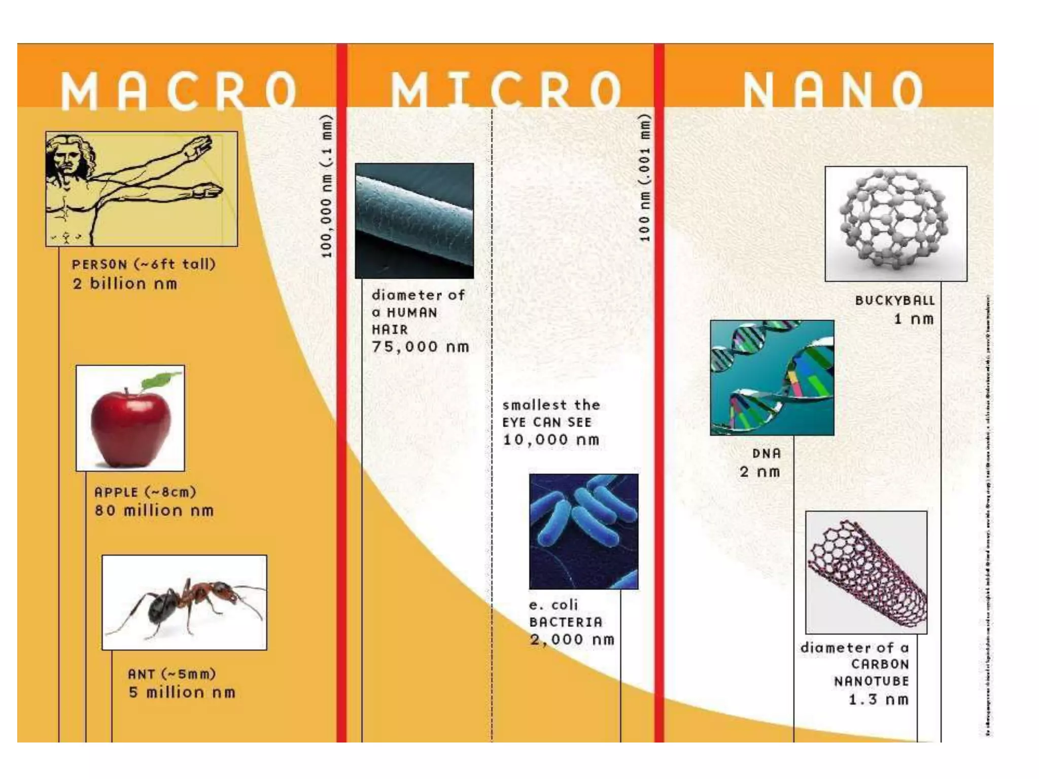 Nanotechnology for crop improvement | PPTX