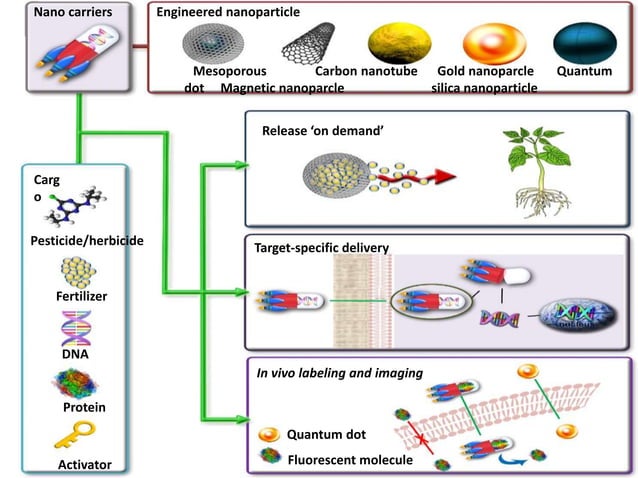 Nanotechnology for crop improvement | PPTX | Chemistry | Science
