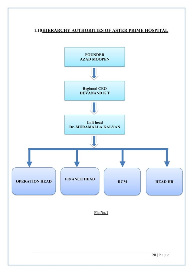 IPD in Patient Satisfaction | PDF