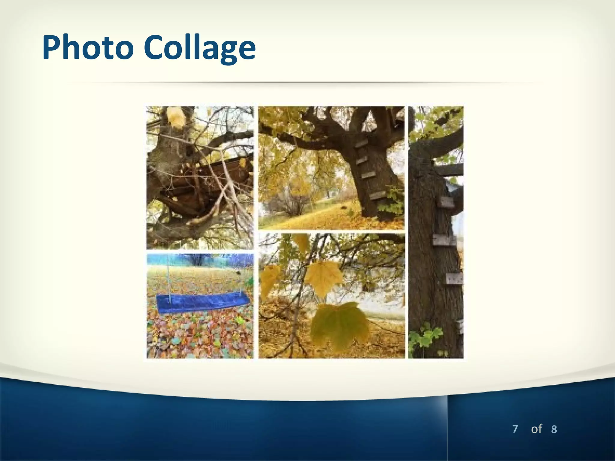 Rachel Fullmer-portfolio | PPT