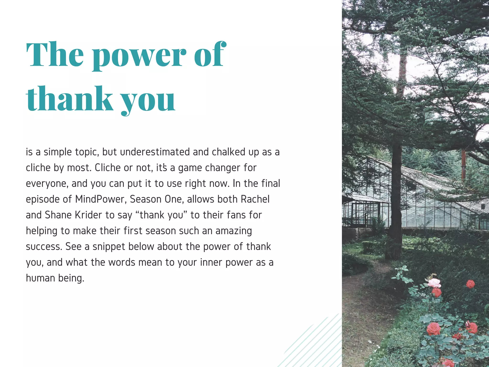 Understanding the Power of "Thank You" | PPT