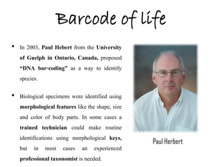Mitochondrial DNA in Taxonomy and Phylogeny | PDF