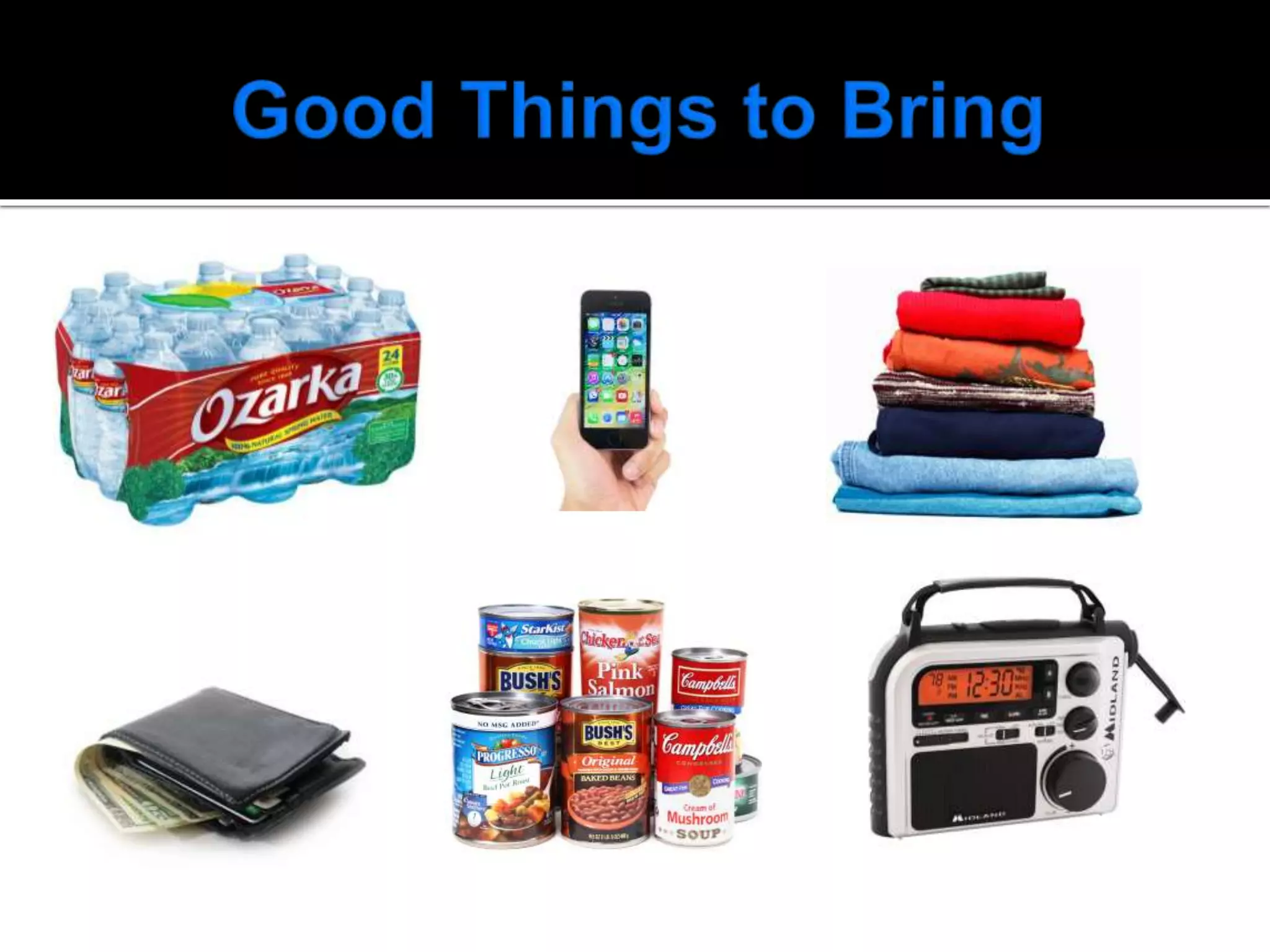 Save Your Best Friend: Make a Pet Evacuation Kit | PPT