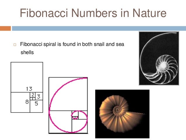 Maths in Everyday Life