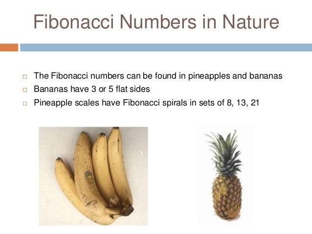 Use Of Fibonacci Series In Daily Life Witch Subtitles English HDQ Use Of Fibonacci Series In Daily Life Witch Subtitles English HDQ