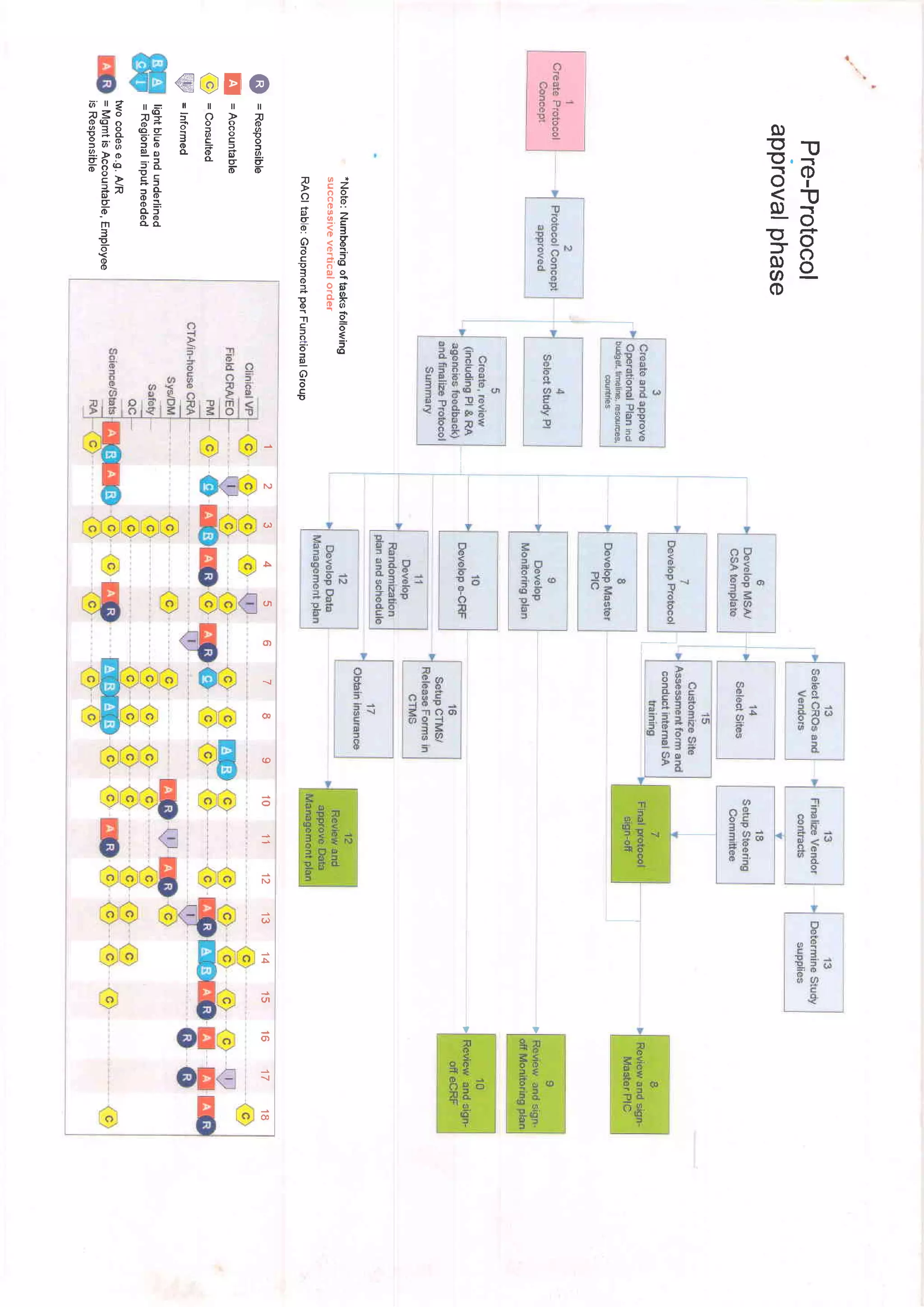 RACI Matrix for Clinical Operation | PDF