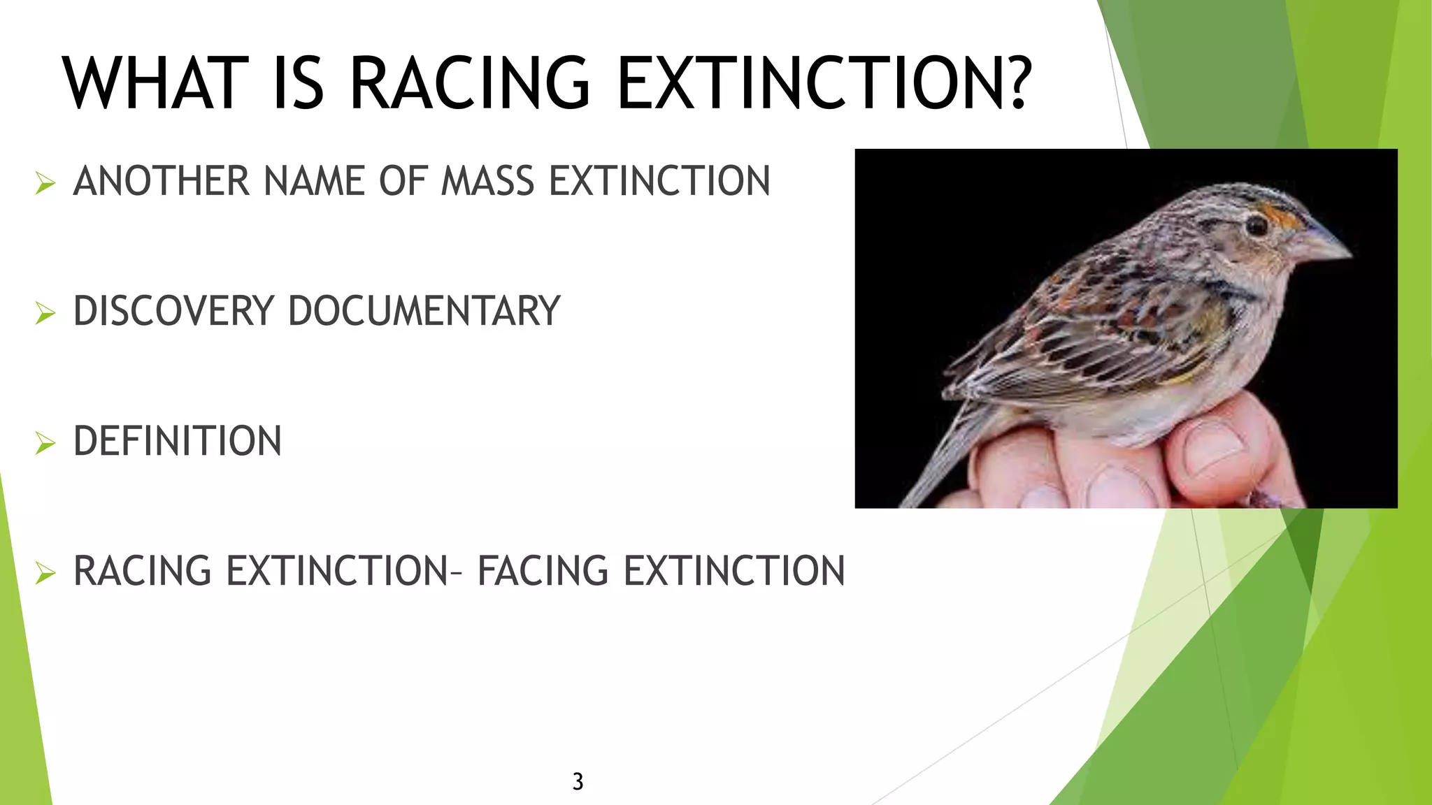 Racing extinction.ppt