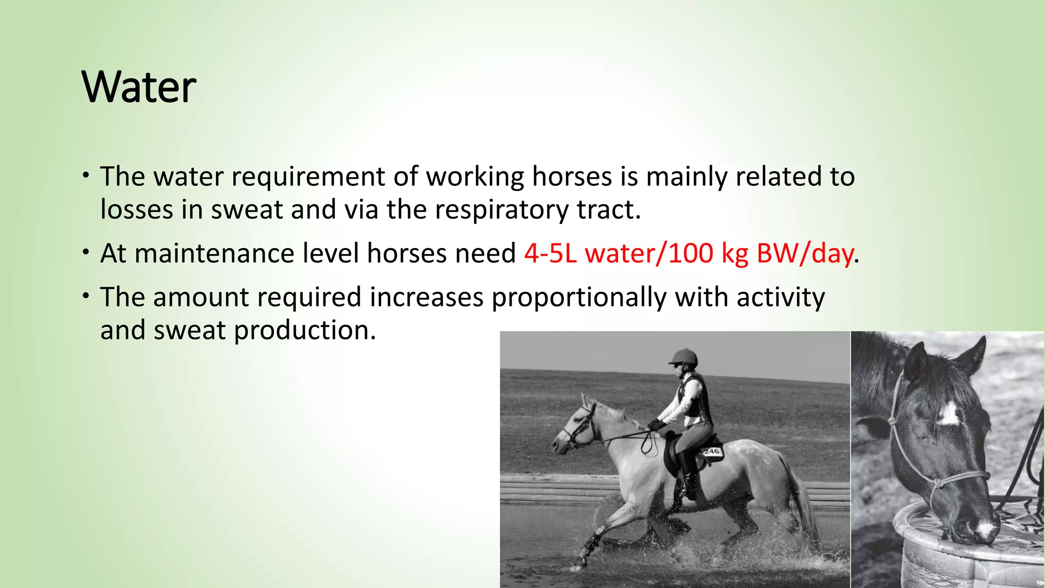Equine nutrition | PPTX