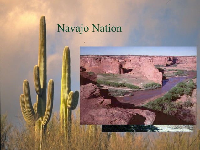 Racing the Sun booktalk | PPT