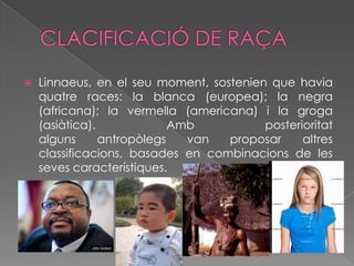 Racisme | PPT
