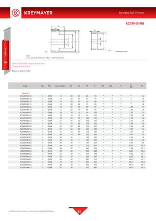 Racks and Pinions Gears, Drive Systems Manufacturers in India.pdf