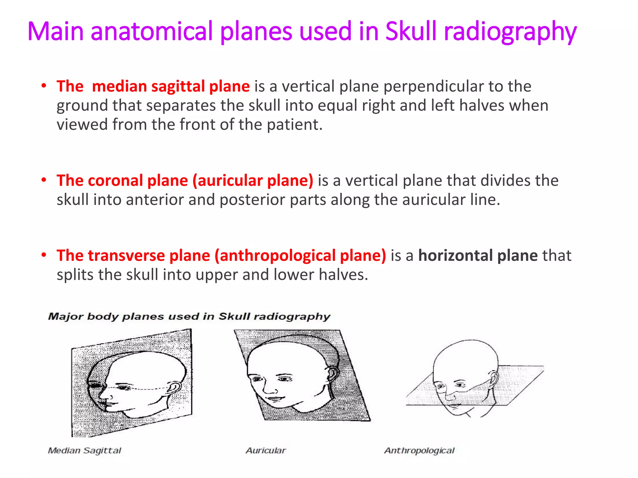 Radiological anatomy of the Head and Neck | PDF