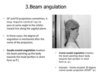 Radiological anatomy of the Head and Neck | PDF