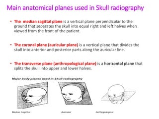 Radiological anatomy of the Head and Neck | PDF