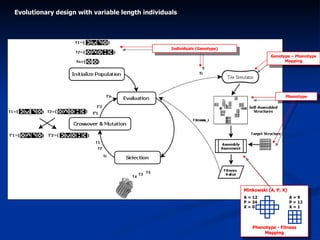 Evolutionary Design Optimisation of Self-Organised and Self-Assembly Systems | PPT