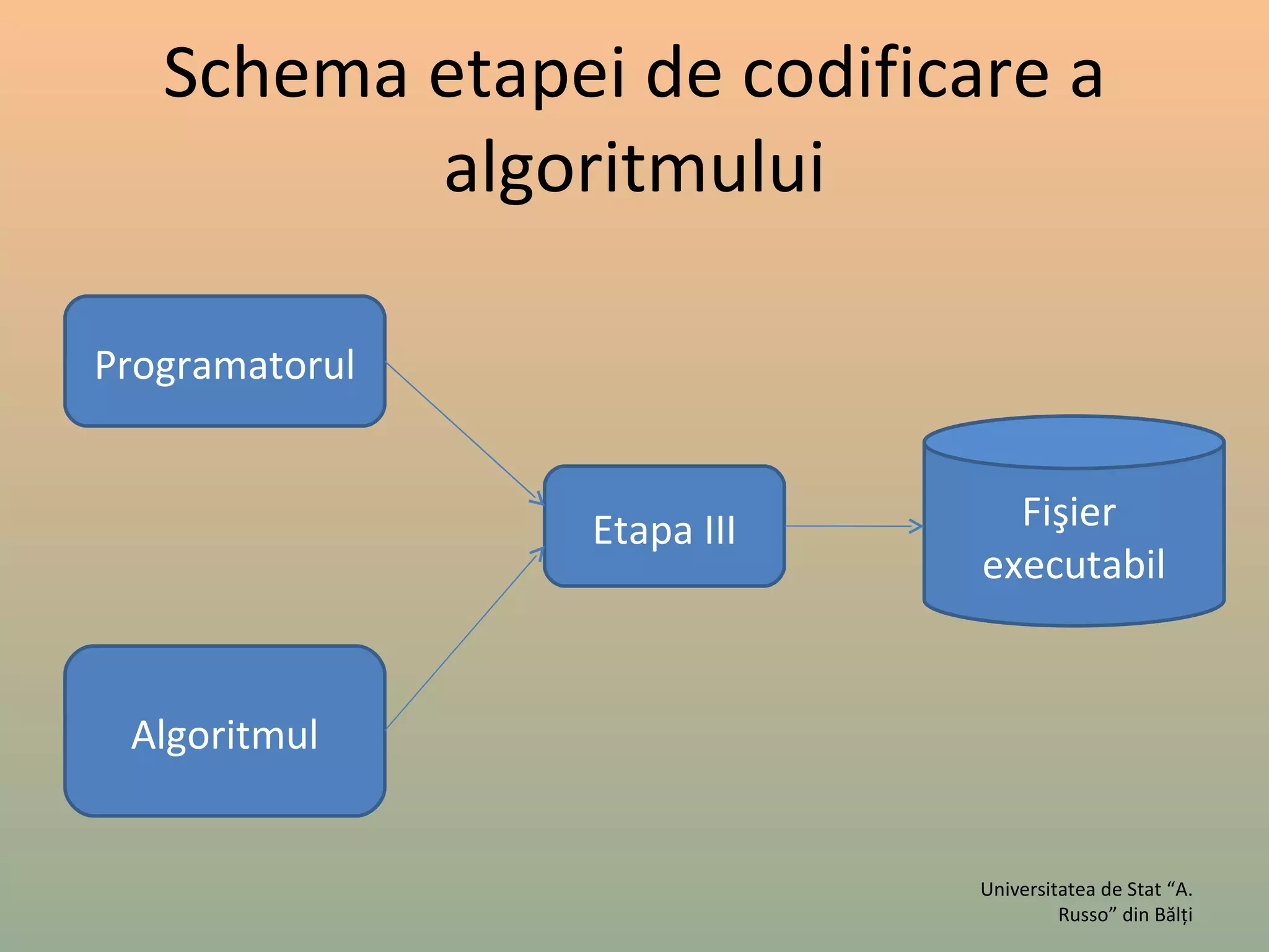 Etapele procesului de programare | PPT