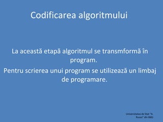Etapele procesului de programare | PPT