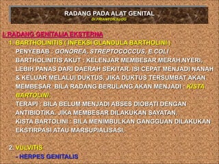 RADANG_ALAT_GENITALIA_WANITA.ppt