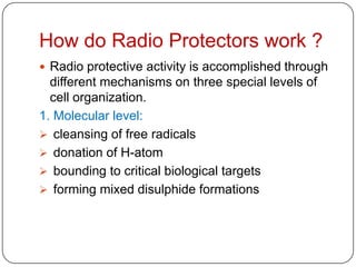 Radation Hormesis & Radioprotector | PPTX