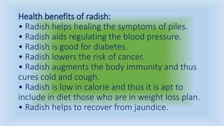 Raddish & coconut curry | PPT