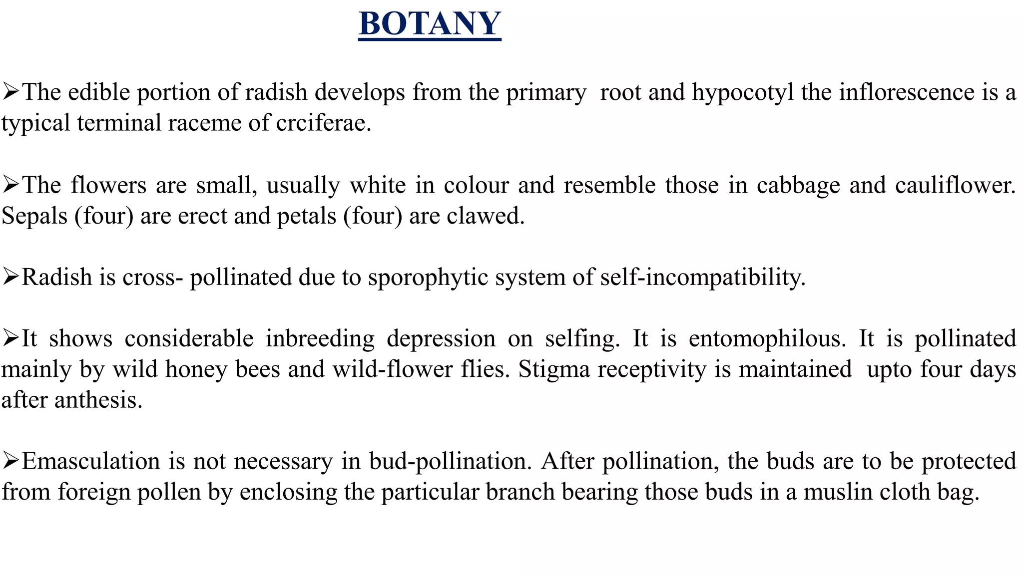 Raddish cultivation | PPTX