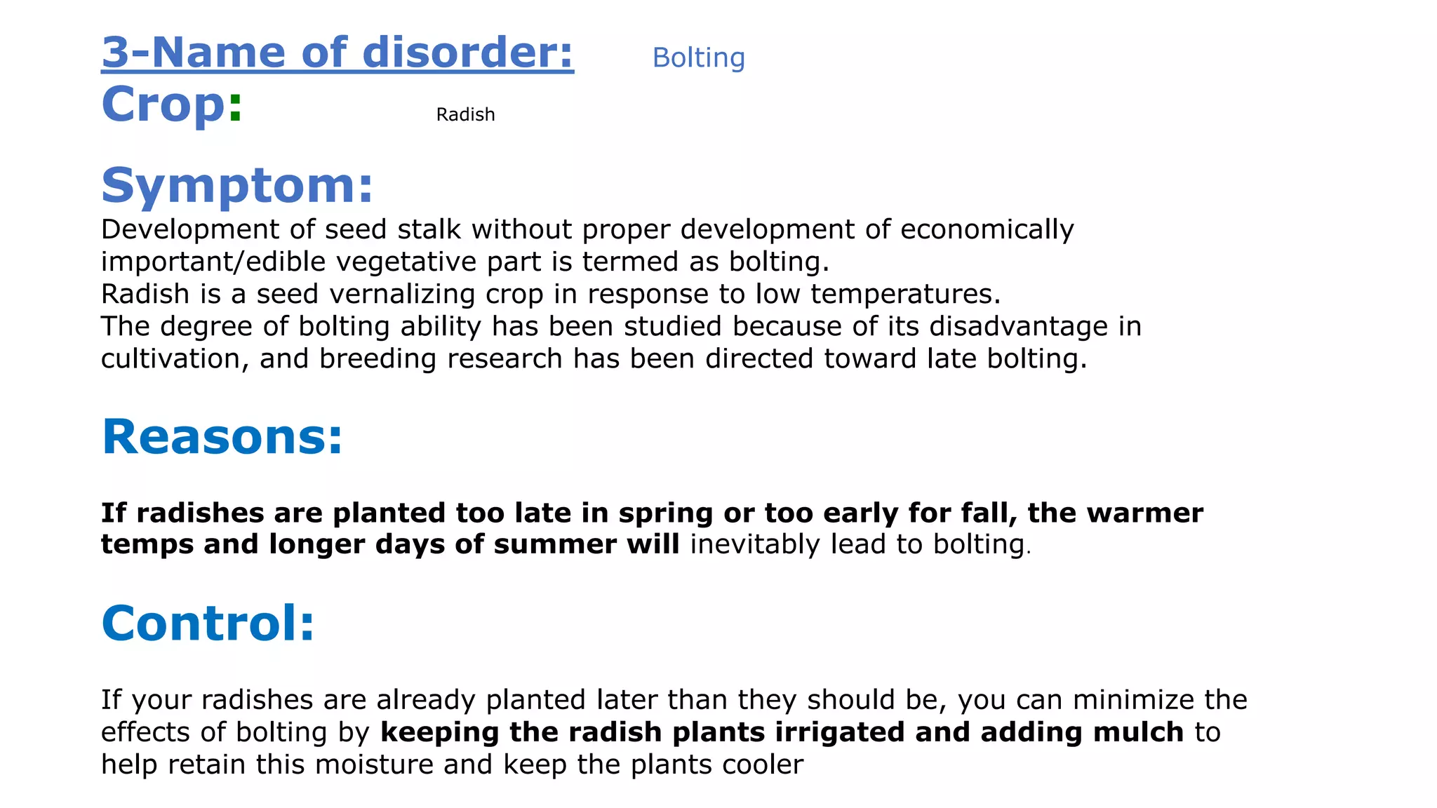 Raddish Presentation 2.pptx