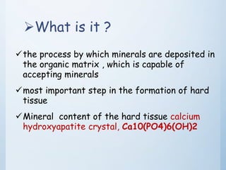 Theories of Mineralisation | PPTX