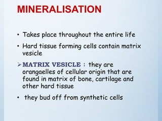 Theories of Mineralisation | PPTX