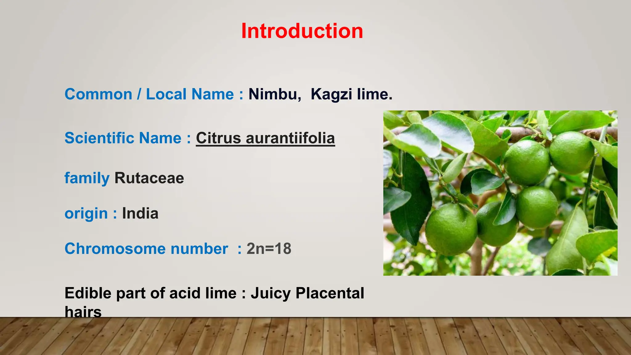 Production technology of Acid lime caltivation, planting time, season ...