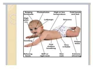 Acute meningitis in pediatrics population | PPTX