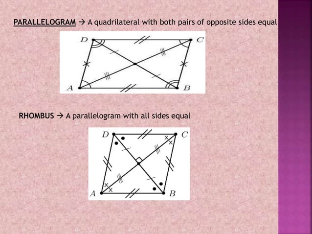 Basics of Quadrilaterals | PPTX