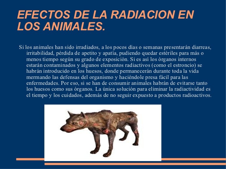 Radiactividad Cristian[1º-b]
