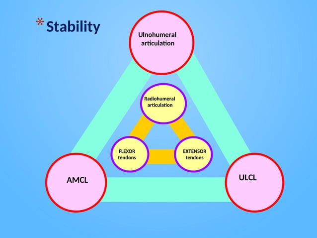 Radial Head Fractures Treatment Lecture Pptx