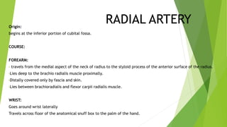 Radial artery access[1] | PPTX