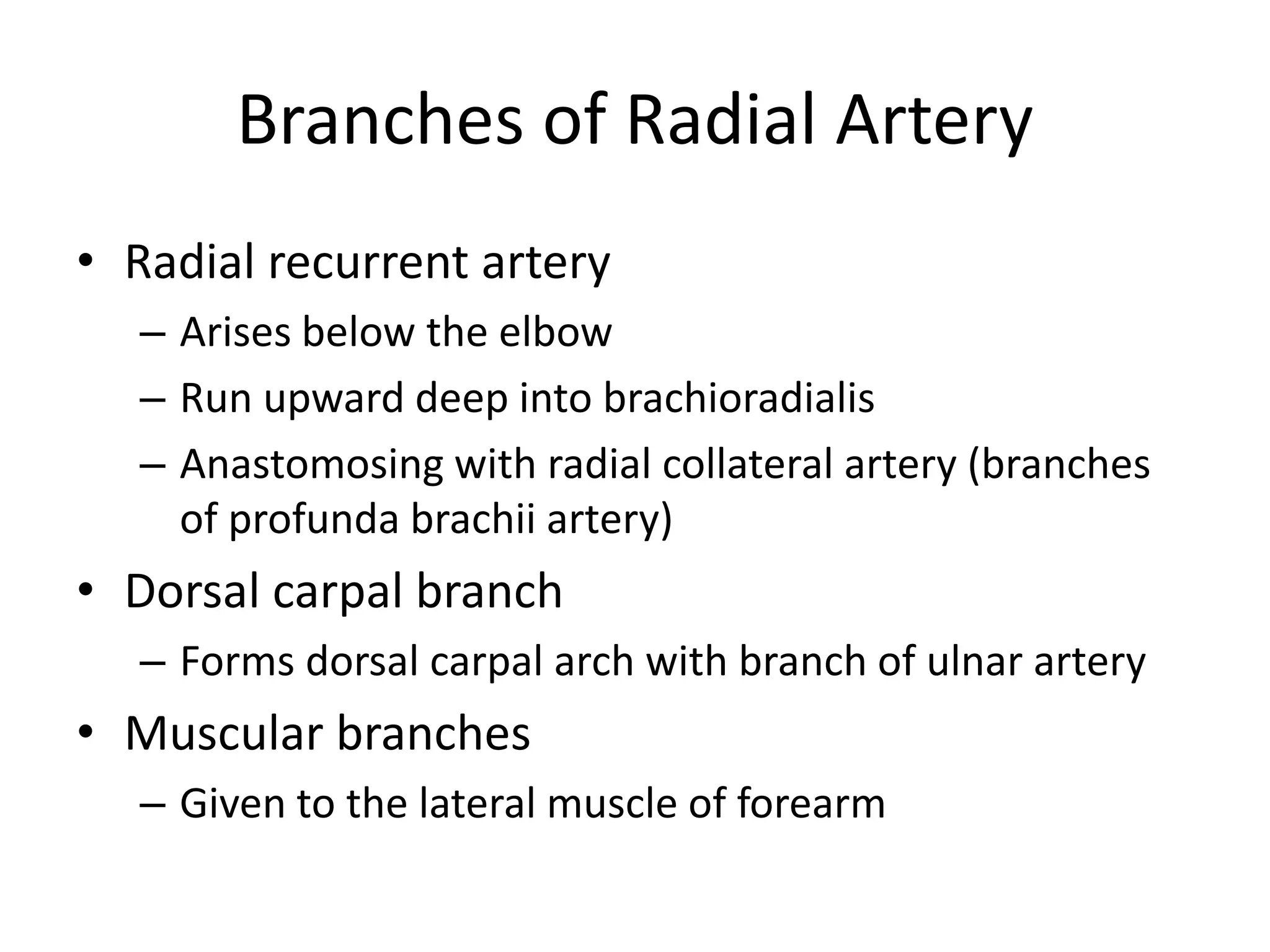 Radial artery | PPTX