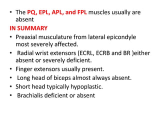 Radial club hand | PPTX