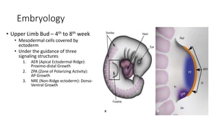 Radial club hand (Radial Dysplasia) | PPTX